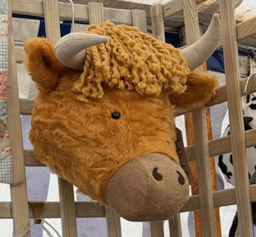 Highland cow decorative head | Tilly's Barn